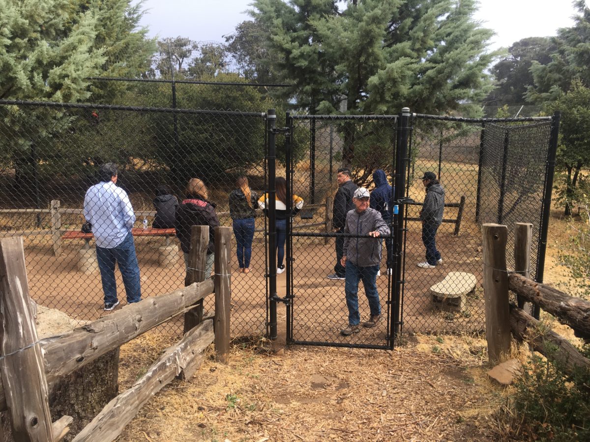 OLAC at the Wolf Preserve in Julian - Photo, in OAK LAKE ART CENTER